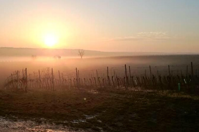 KRÁSNÁ HORA - Foltýn Wine