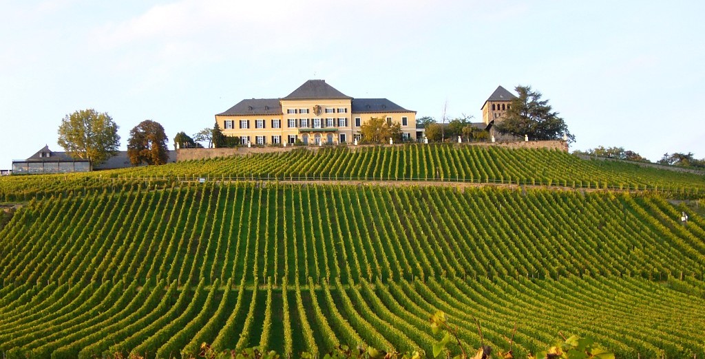 Schloss Johannisberg, Rheingau